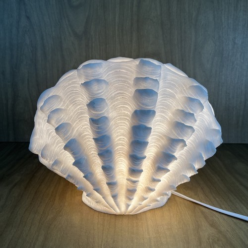 Frosted White Clam Shell Light Lamp Beach Ocean Decor Tabletop Night ...