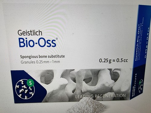 Geistlich Bio-Oss Spongious Bone Substitute Small Granules 0.25 mm-1 mm(S) 0.5gr | eBay
