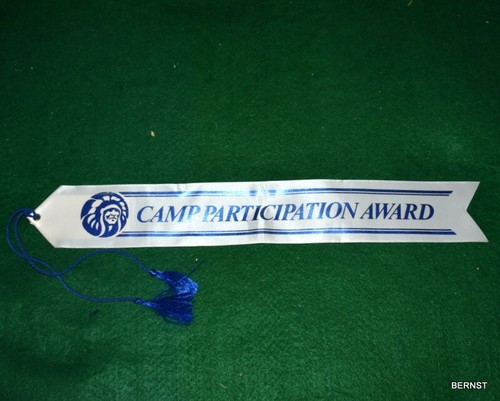 BOY SCOUT - ORDER OF THE ARROW CAMP PARTICIPATION AWARD STREAMER | eBay