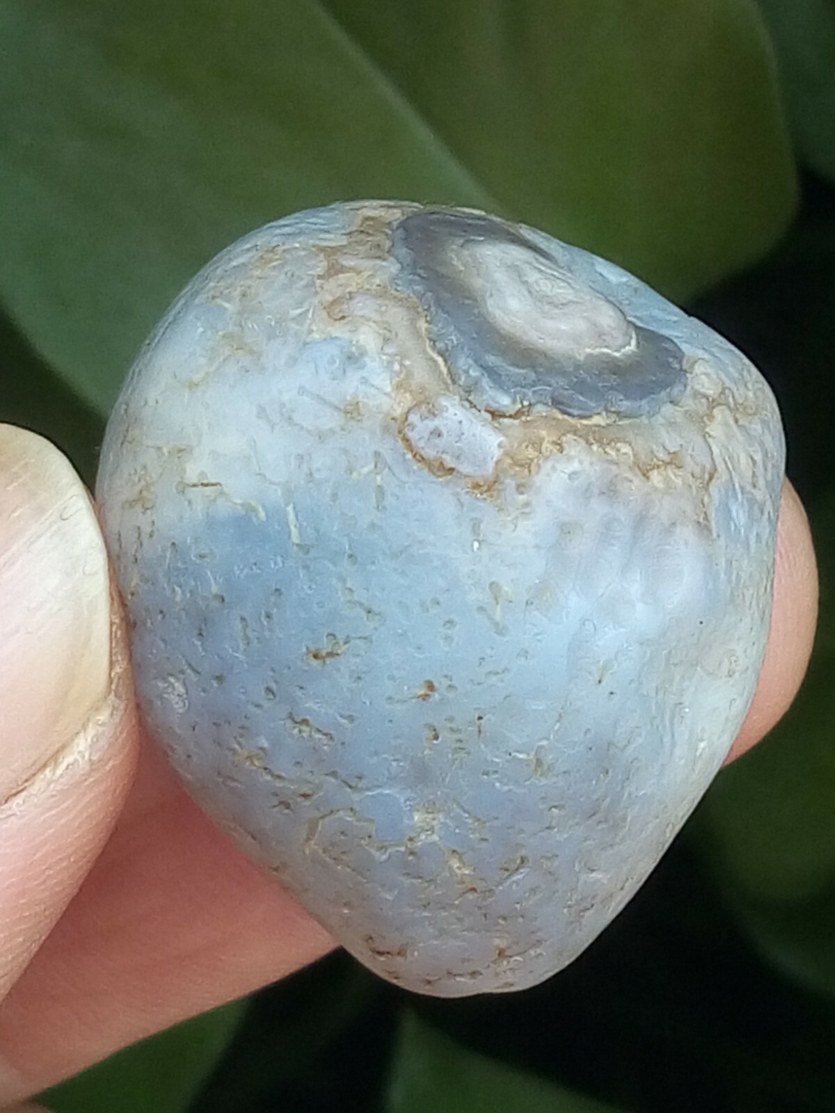 32mm Natural Gobi agate eye agate stone Suiseki-viewing collection ...