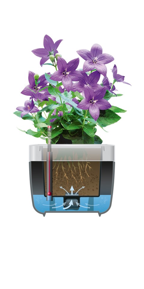 Emsa Mybox Window Box 50 CM, Braun / Braun Decorative Eye-Catcher IN ...