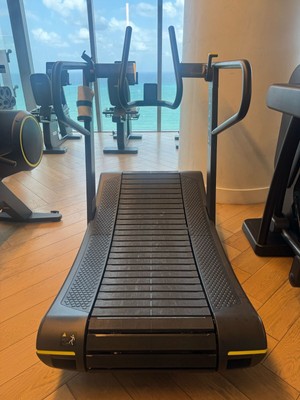 TechnoGym Skillmill Connect SELF-PICKUP | eBay