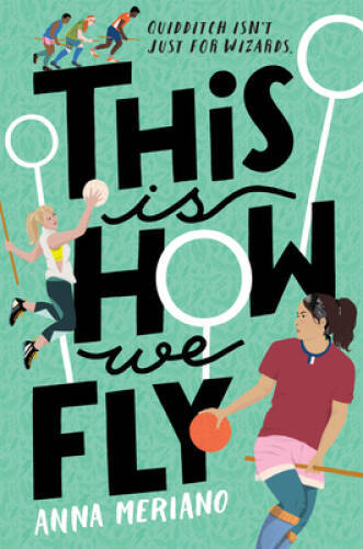 This Is How We Fly - Hardcover By Meriano, Anna - VERY GOOD ...