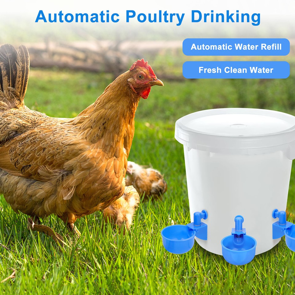 10PCS Chicken Automatic Watering Cups Drinker Waterer for Duck Quail ...