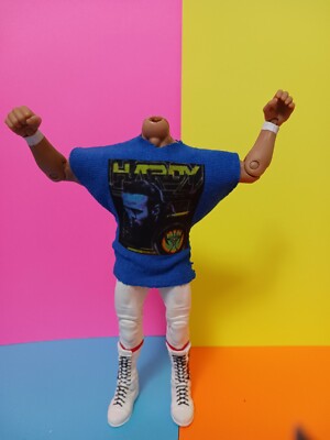 Matt HARDY Custom Wrestling Action Figure Shirt | eBay