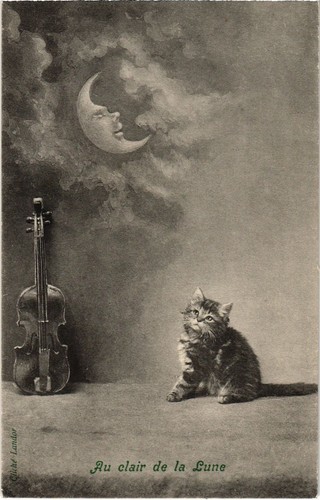 CPA AK Au clair de la Lune CATS (1340580) | eBay.de