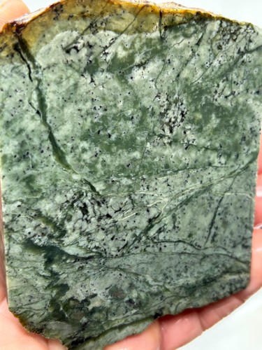 Washington State Jade slab W Translucency Cabbing Lapidary Carving ...