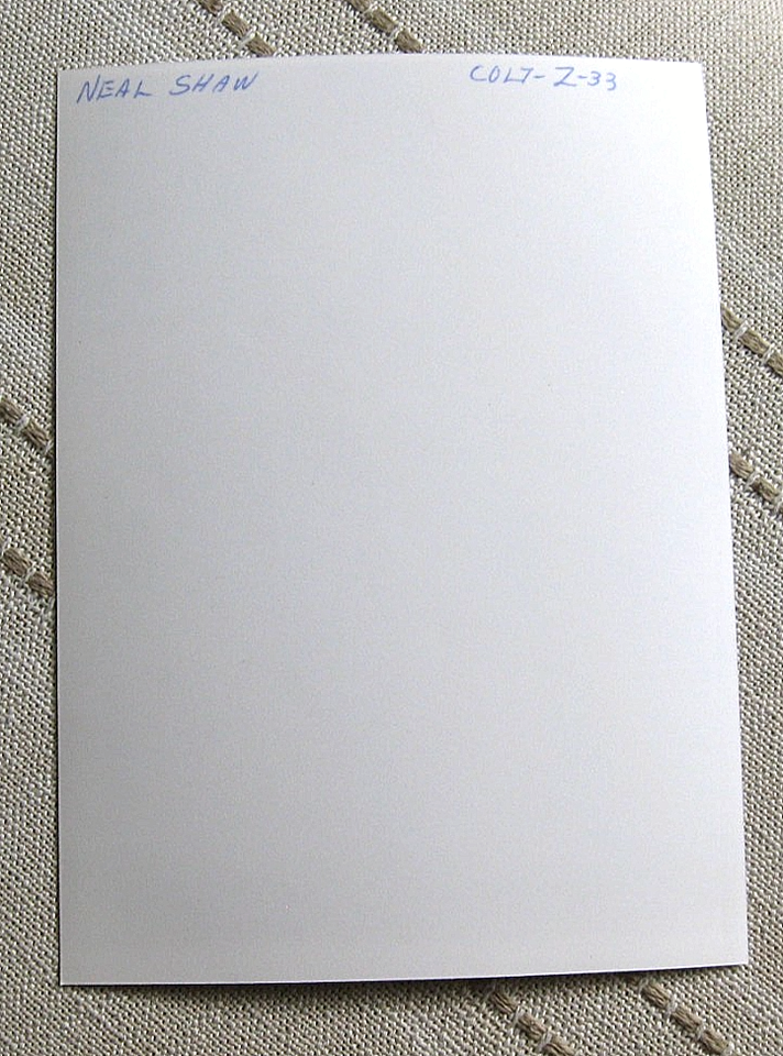 Colt Studios Photograph - Model - Neal Shaw - Beefcake Physique | eBay