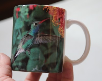 National Wildlife Federation mug Broad Billed Hummingbird | eBay