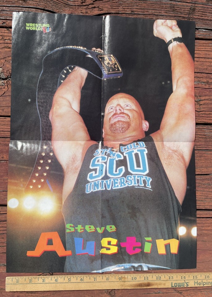 Hollywood Hulk Hogan Stone Cold Steve Austin Double Sided Poster WWE ...
