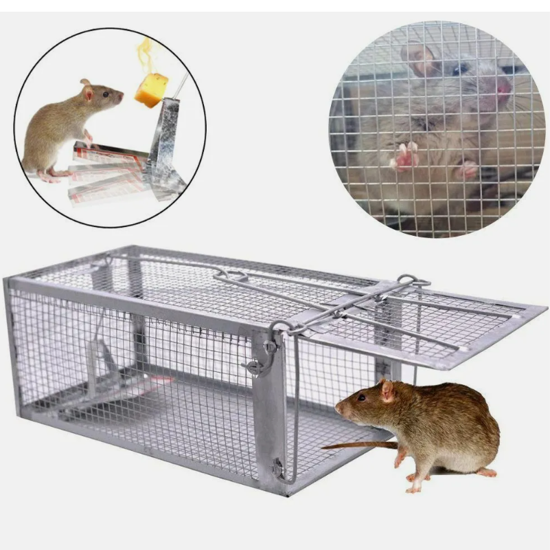 2Pcs Live Humane Cage Trap for Squirrel Chipmunk Rat Mice Rodent Animal ...