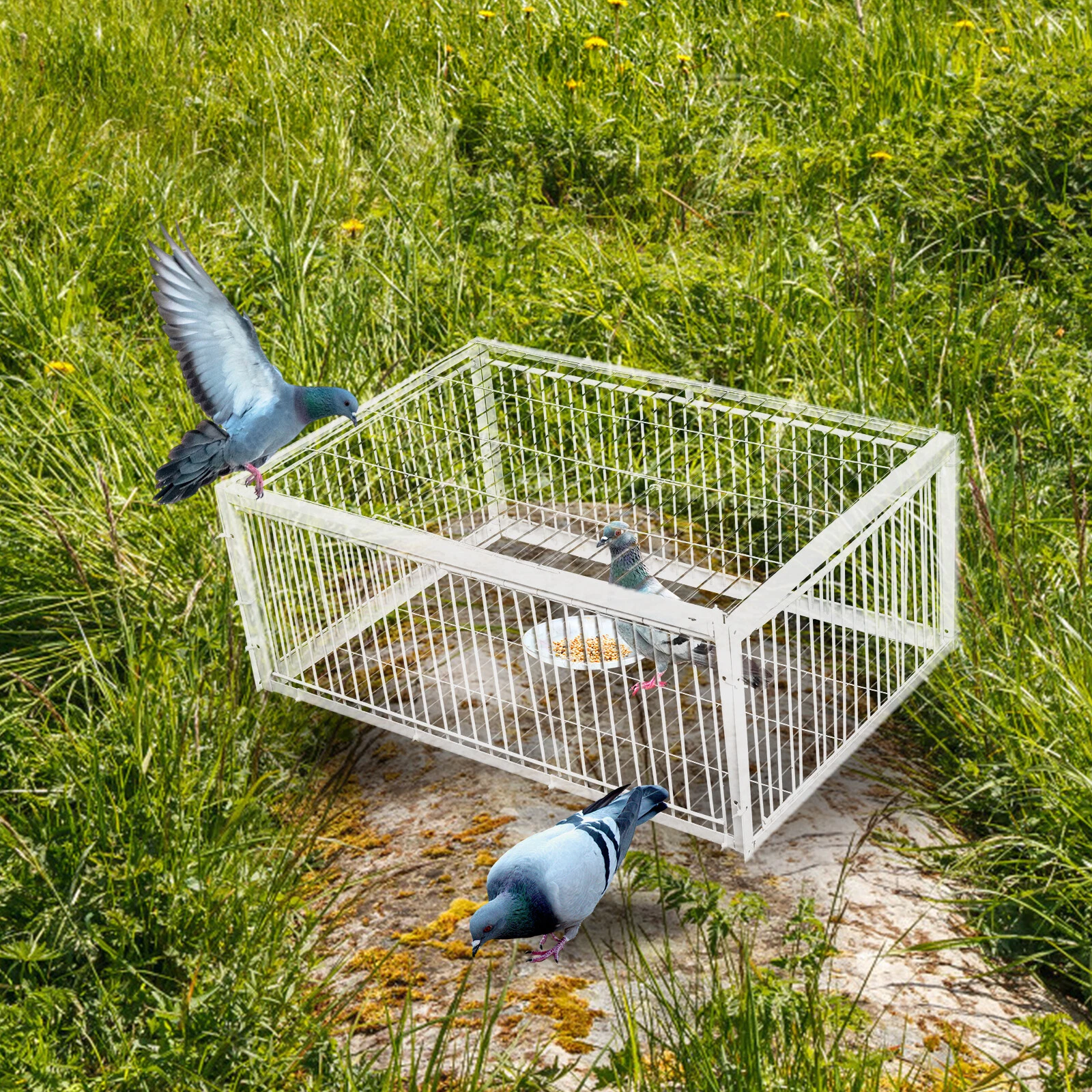 Pigeon Traps with Four Channel One Way Entrance Pigeon Cage with Anti ...