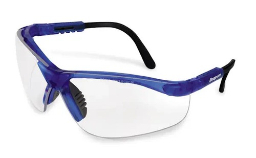 Safety Glasses (Blue Frame/Clear Lenses) Anti-Fog GLASS20BLA | eBay