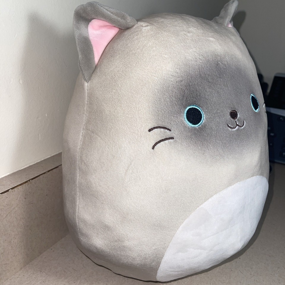 Squishmallows FELTON The SIAMESE CAT 11” Large Plush Cat Blue Eyes | eBay