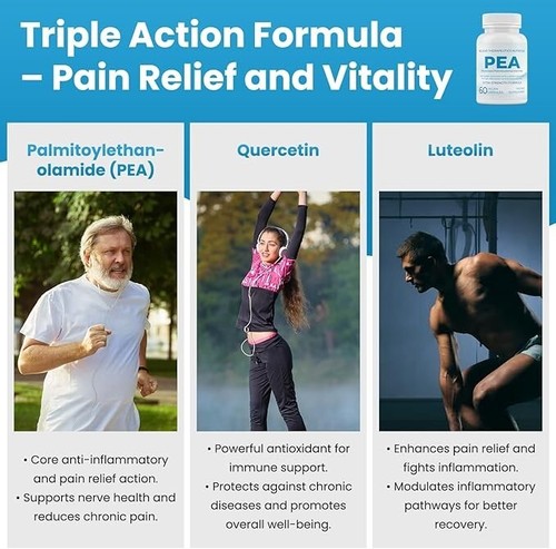 Palmitoylethanolamide Pea Supplement with Quercetin & Luteolin - High ...