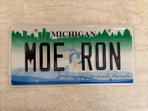MICHIGAN MICH MI LICENSE PLATE 'MOE RON' FOR YOUR MORONIC FRIEND ...