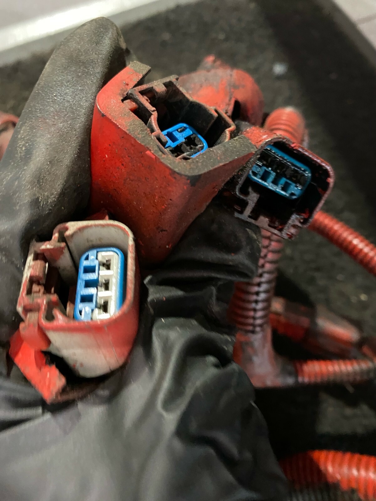 OEM Cummins ISX15 Engine Wiring Harness, 3688775, 4373989, 5339312 ...