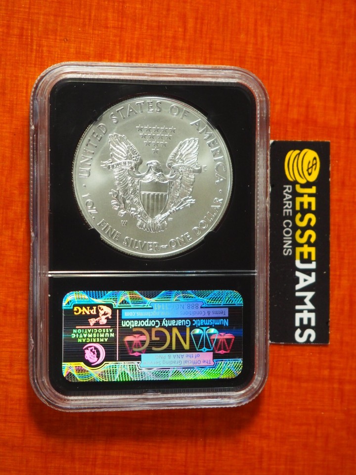 2013 W BURNISHED SILVER EAGLE NGC MS70 FROM ANNUAL DOLLAR COIN SET STAR ...