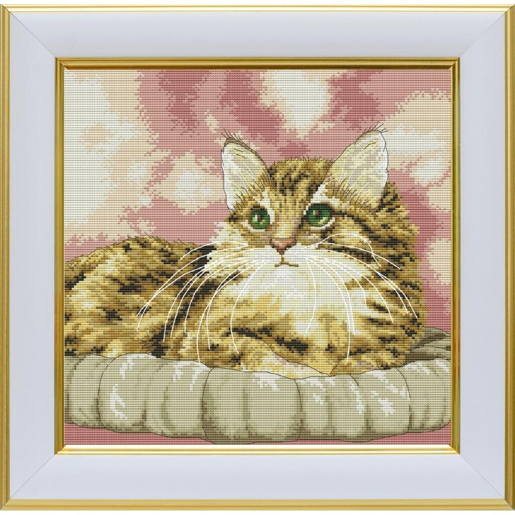 Counted Cross Stitch Kit Cat DIY VDV | eBay