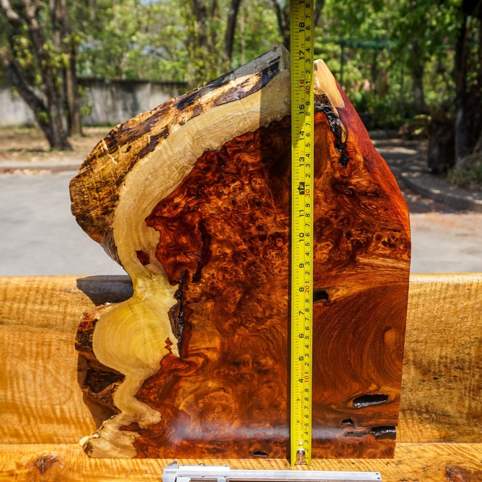Rare! AMBOYNA BURL LUMBER Live Edge Natural Slab Wood Epoxy Resin DIY ...