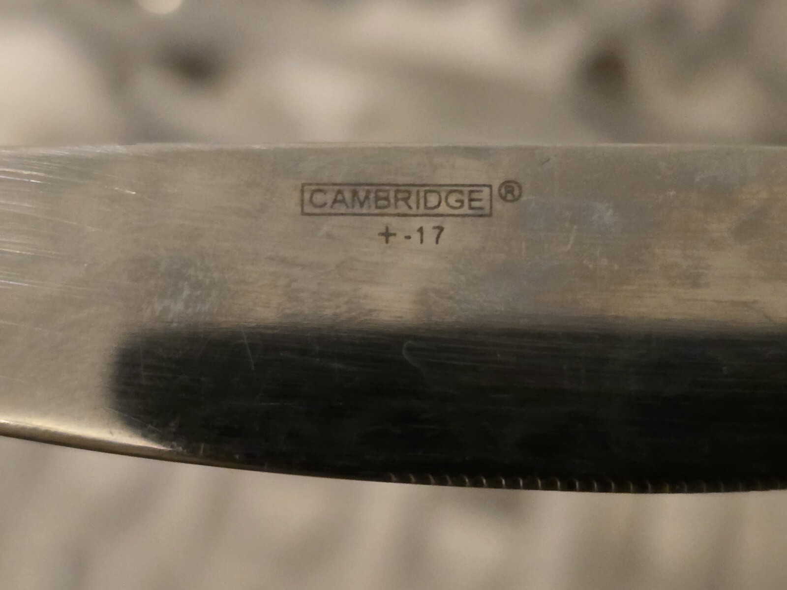 Cambridge +17 Flatware Lot Of 46 Pieces Stainless Steel Silverware Set ...