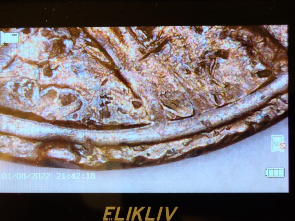 1980 Lincoln Memorial Penny: No Mint, DDO, DDR, Rime Chiped, Fissures ...