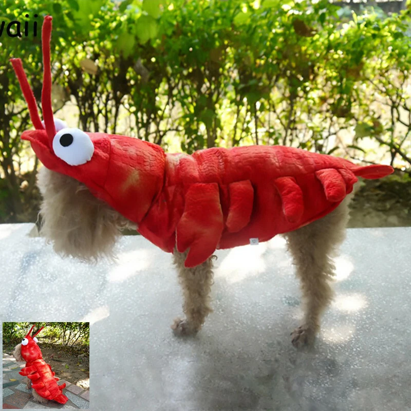 Catdog Costume For Kids