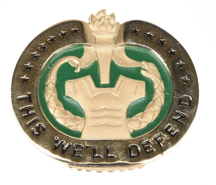 Army Drill Sergeant Badge