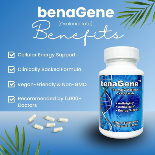 Benagene Oxaloacetate Supplement - Supports Cellular Energy - Thermally ...