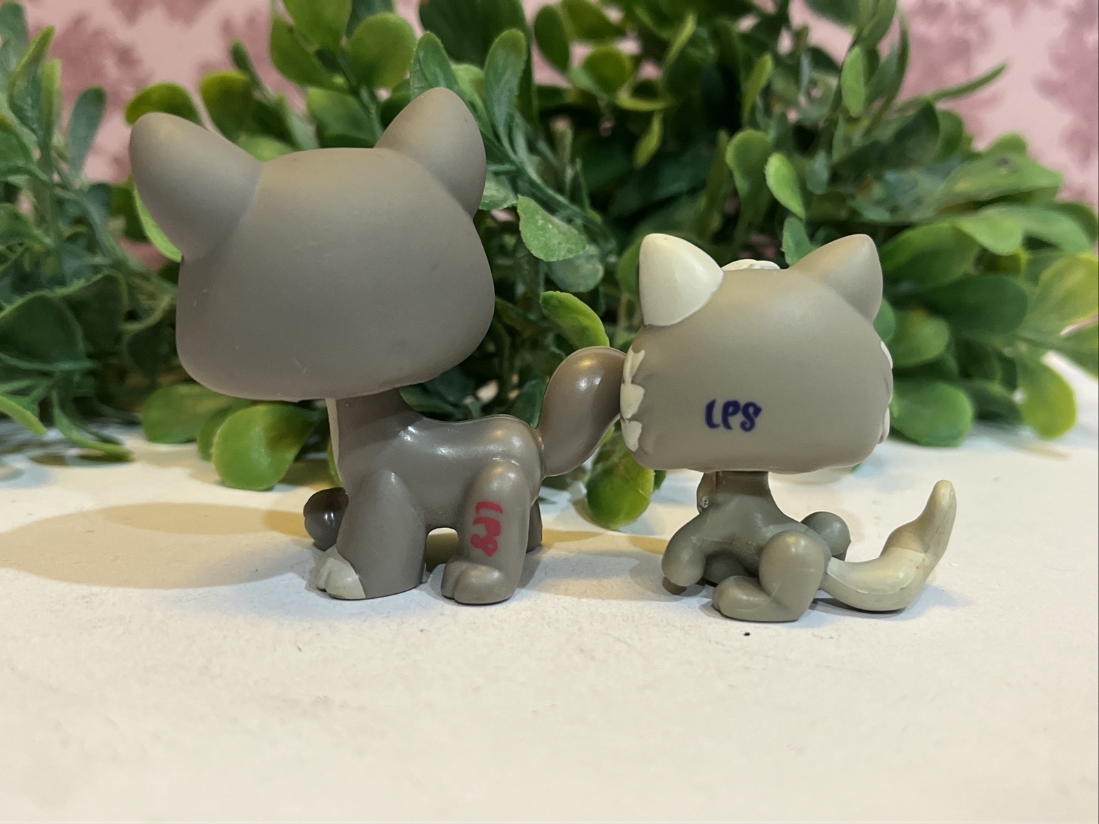 Littlest Pet Shop 1035 1059 Lps Authentic Grey Persian Kitten Cat Rare ...