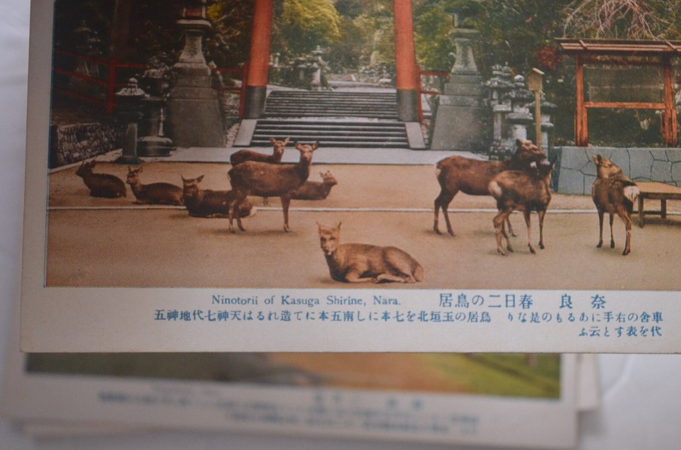 Lot of (8) Vintage Nara, Japan Famous Landmarks Postcards (UNPOSTED) | eBay