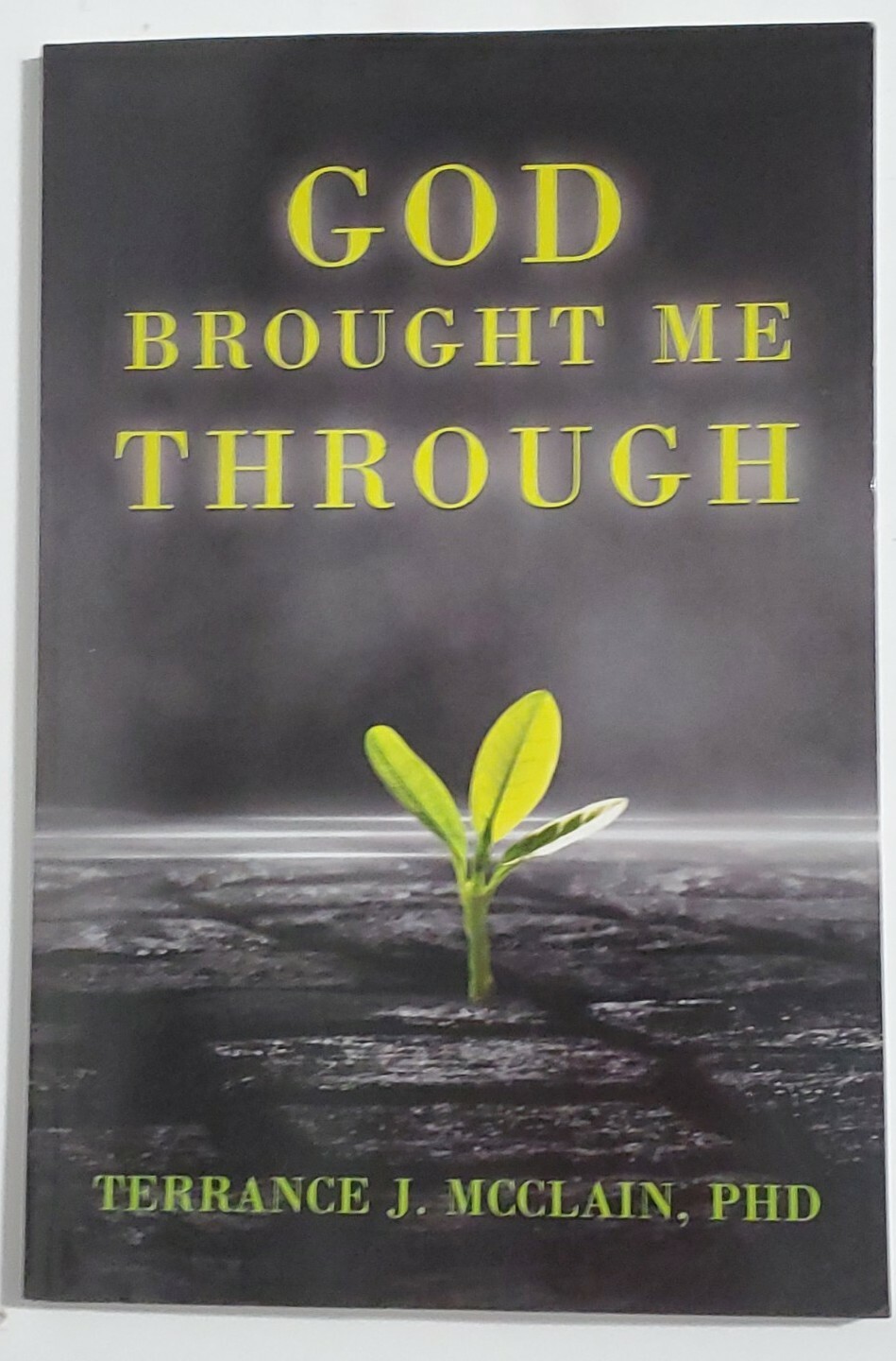 God Brought Me Through by Terrance J. McClain (2020, Trade Paperback ...
