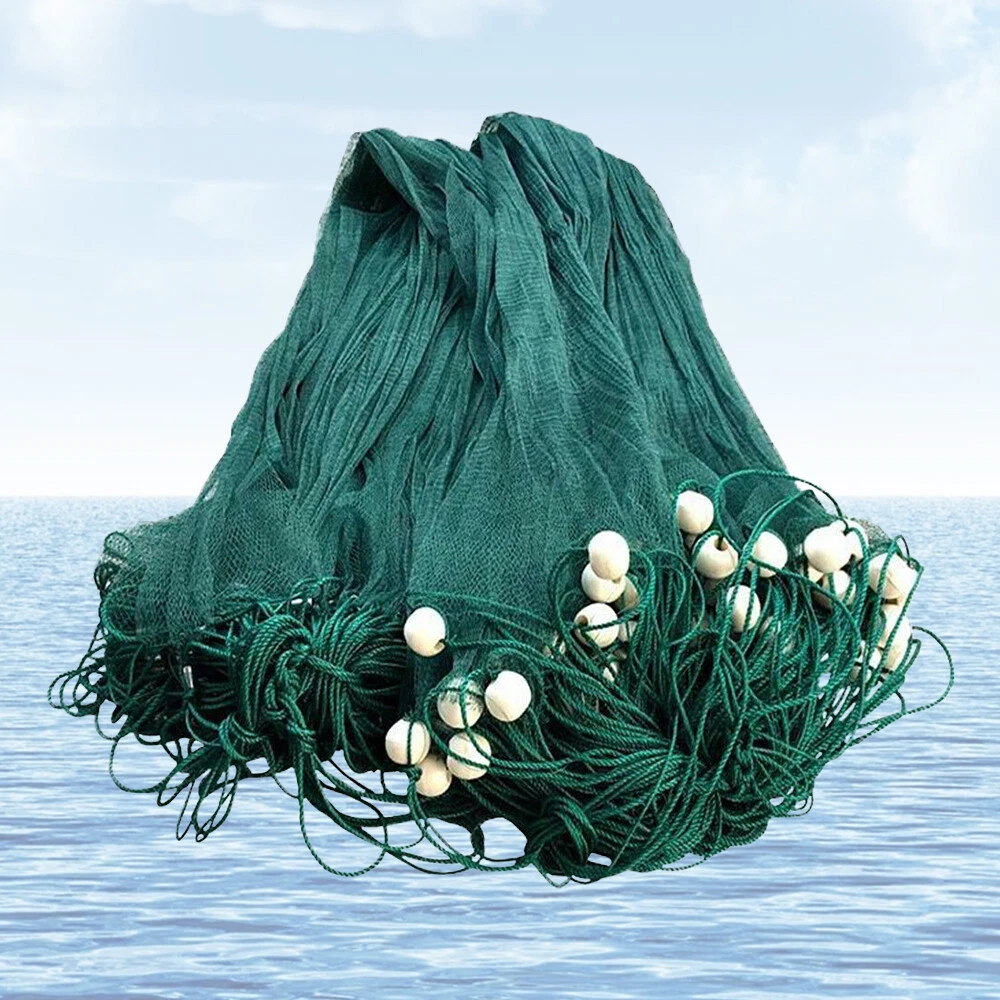 Shrimp Net Catch