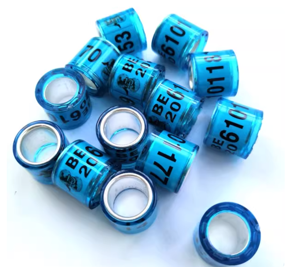 Custom Pigeon Bands | Plastic & Aluminum Rings | 8mm Closed Leg Bands ...