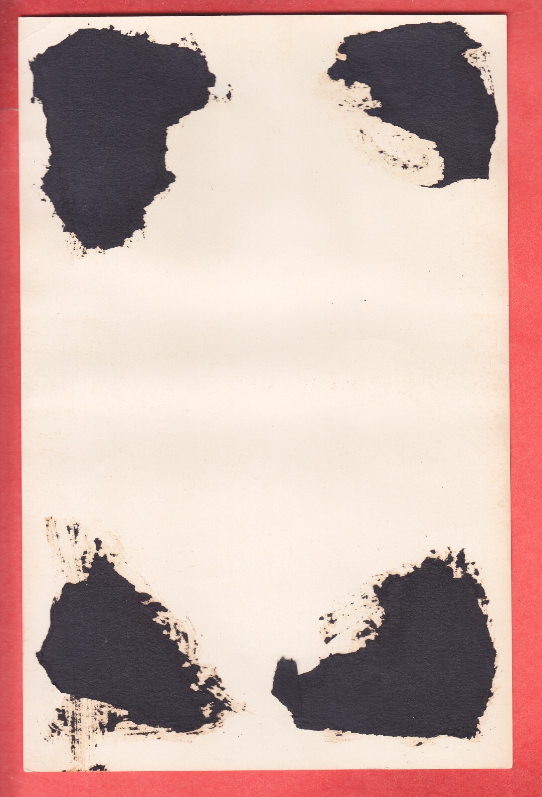 1931 St LOUIS CARDINALS METROPOLITAN STUDIOS CHARLIE GELBERT | eBay