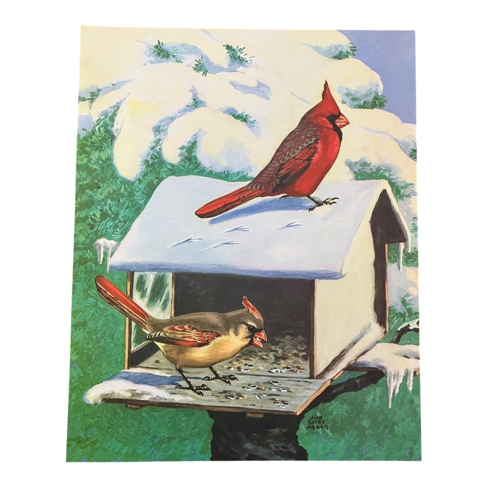 Male & Female Northern Cardinal 1942 Jacob Bates Abbott Bird ...