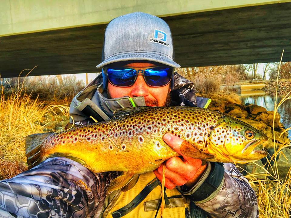 Fishing Lure, Jerkbait, Crankbait Dynamic Lures HD TROUT Brook Trout | eBay