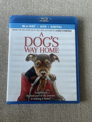 A dogs Way Home (Blu-Ray + DVD, 2019) | eBay