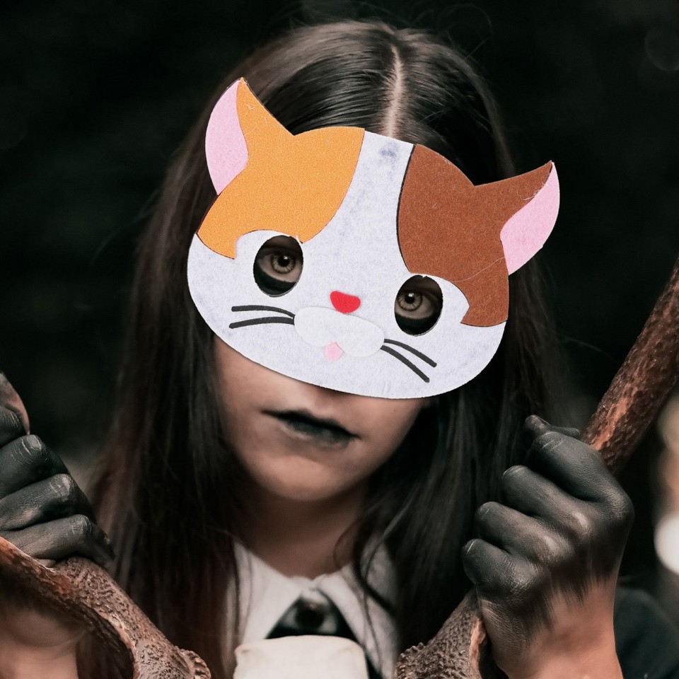 12pcs Felt Animal Masks Animal Cosplay Masks Funny Masquerade Face ...