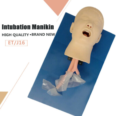 Training & Manikins - Airway Management Intubation