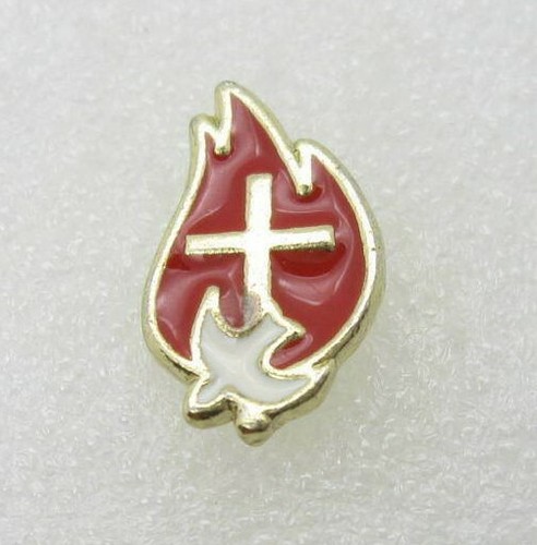 Christian Red Fire Cross Dove Lapel Pin (A800) | eBay