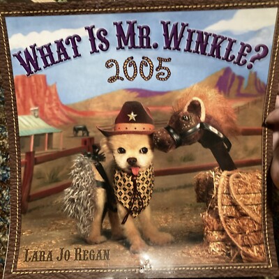 What is Mr. Winkle? Wall Calendar 2005 Lara Jo Regan | eBay