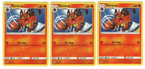 TORRACAT X3 POKEMON CARD | eBay