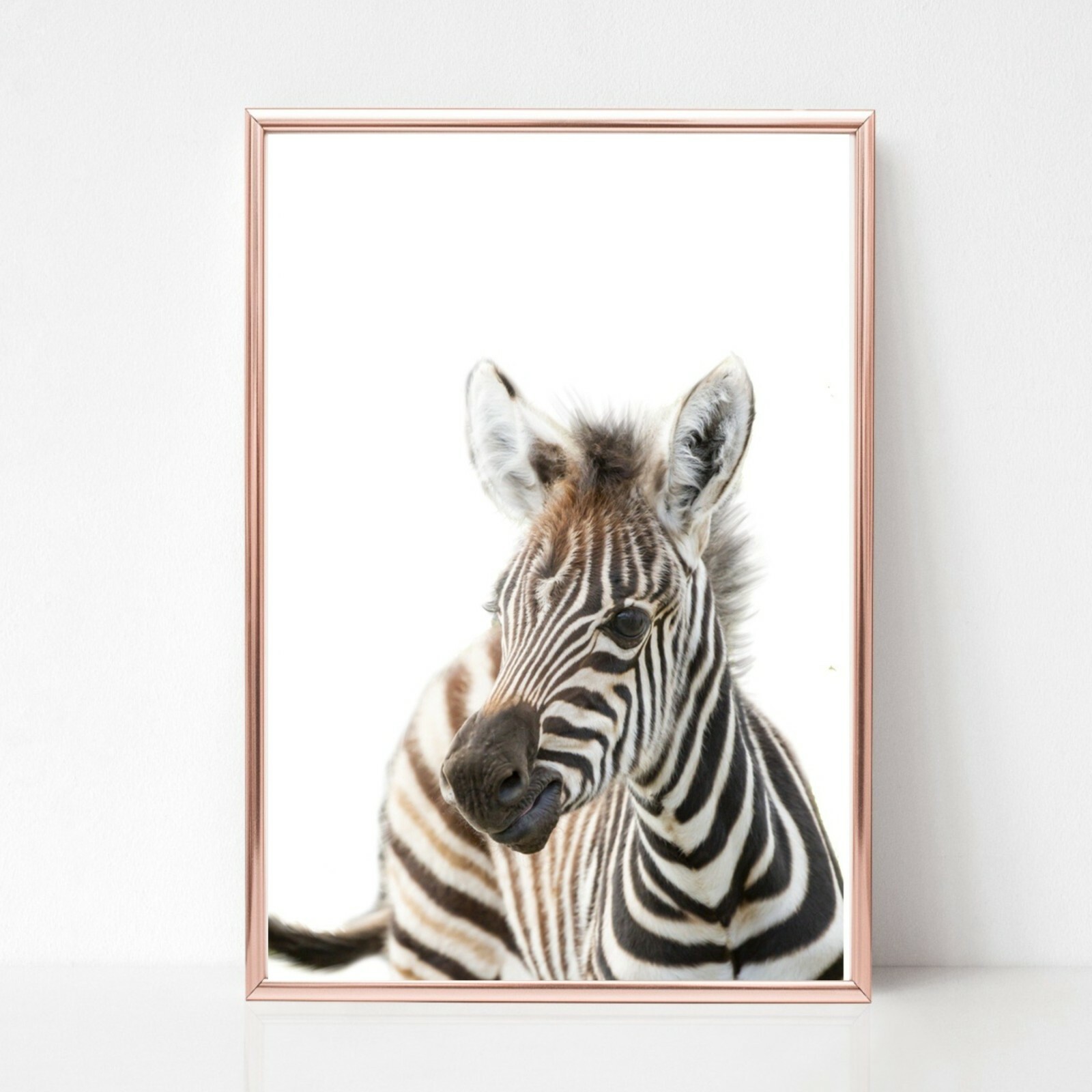 baby zebra Print picture UNFRAMED print nursery wall art a4 safari ...