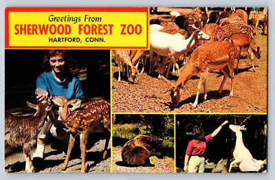 Postcard Greetings From Sherwood Forest Zoo Hartford Connecticut ...
