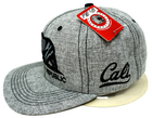 CALIFORNIA REPUBLIC Snapback Cap Hat CA CALI Bear Flag OSFM Gray NWT | eBay