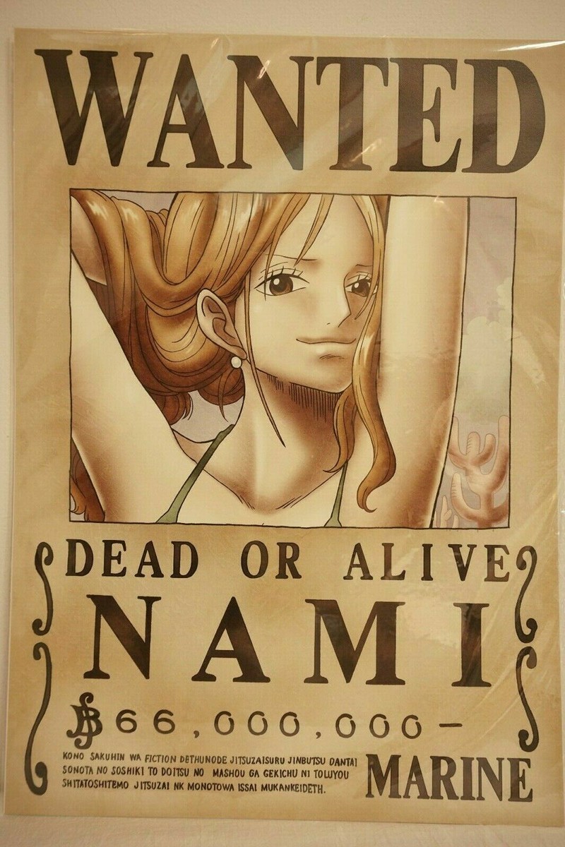 One Piece Wanted Poster Nami Wanted Nami Embroidery Design, One Piece