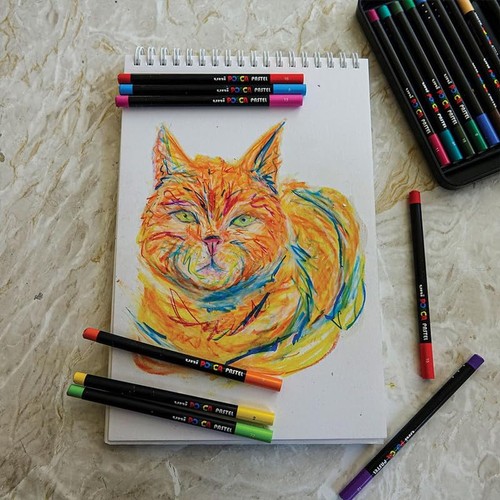 Posca 24 Pack Multicolor Wax Pastels Smooth Drawing Art Markers Set | eBay