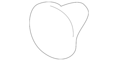 Genuine Subaru Door Weather-Strip Clip 909120024 | eBay