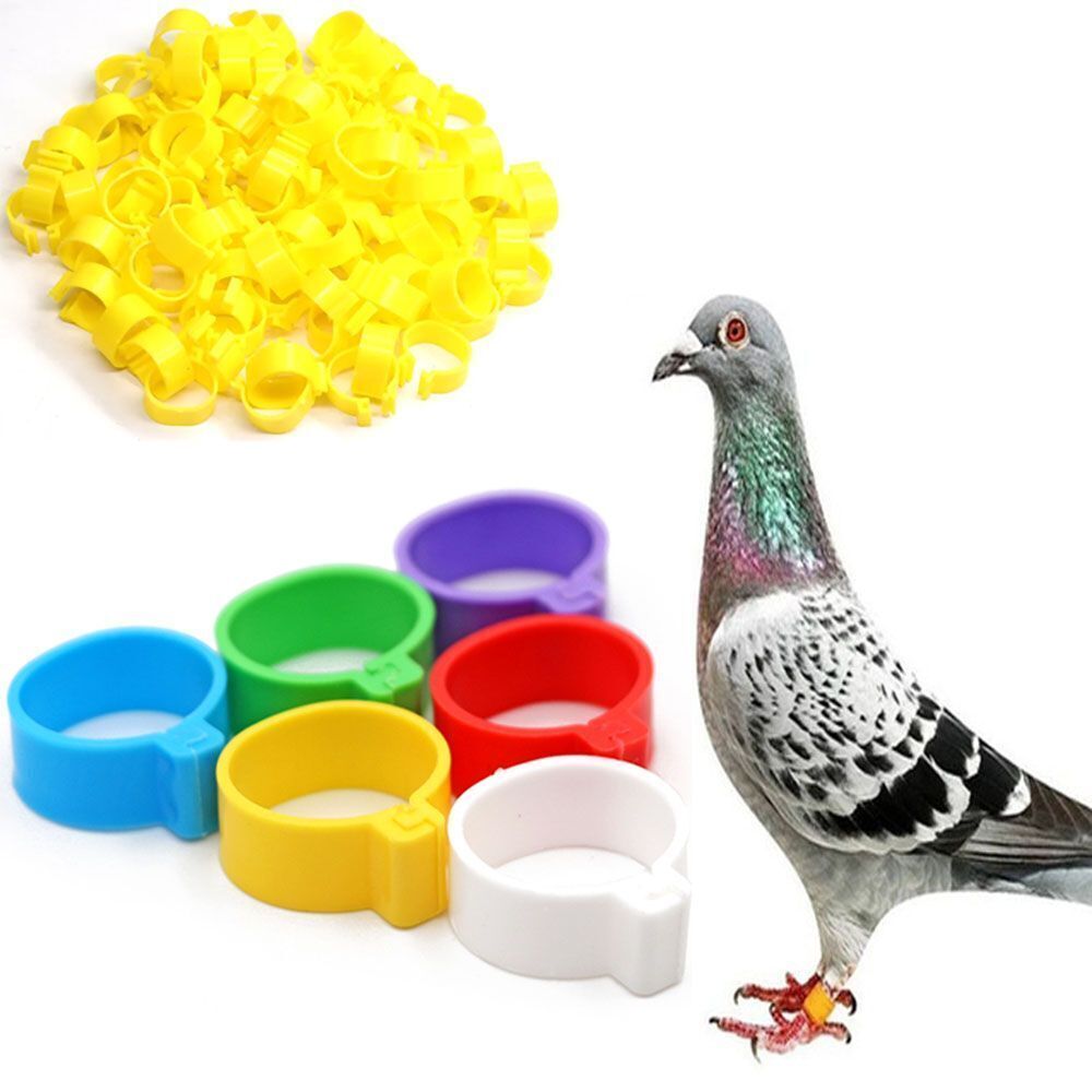 100pcs 16/20 mm No Numbered Pet Poultry Chicken Duck Goose Leg Band ...